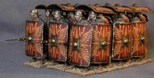 Tortoise Protection | More Than A Sunday Faith